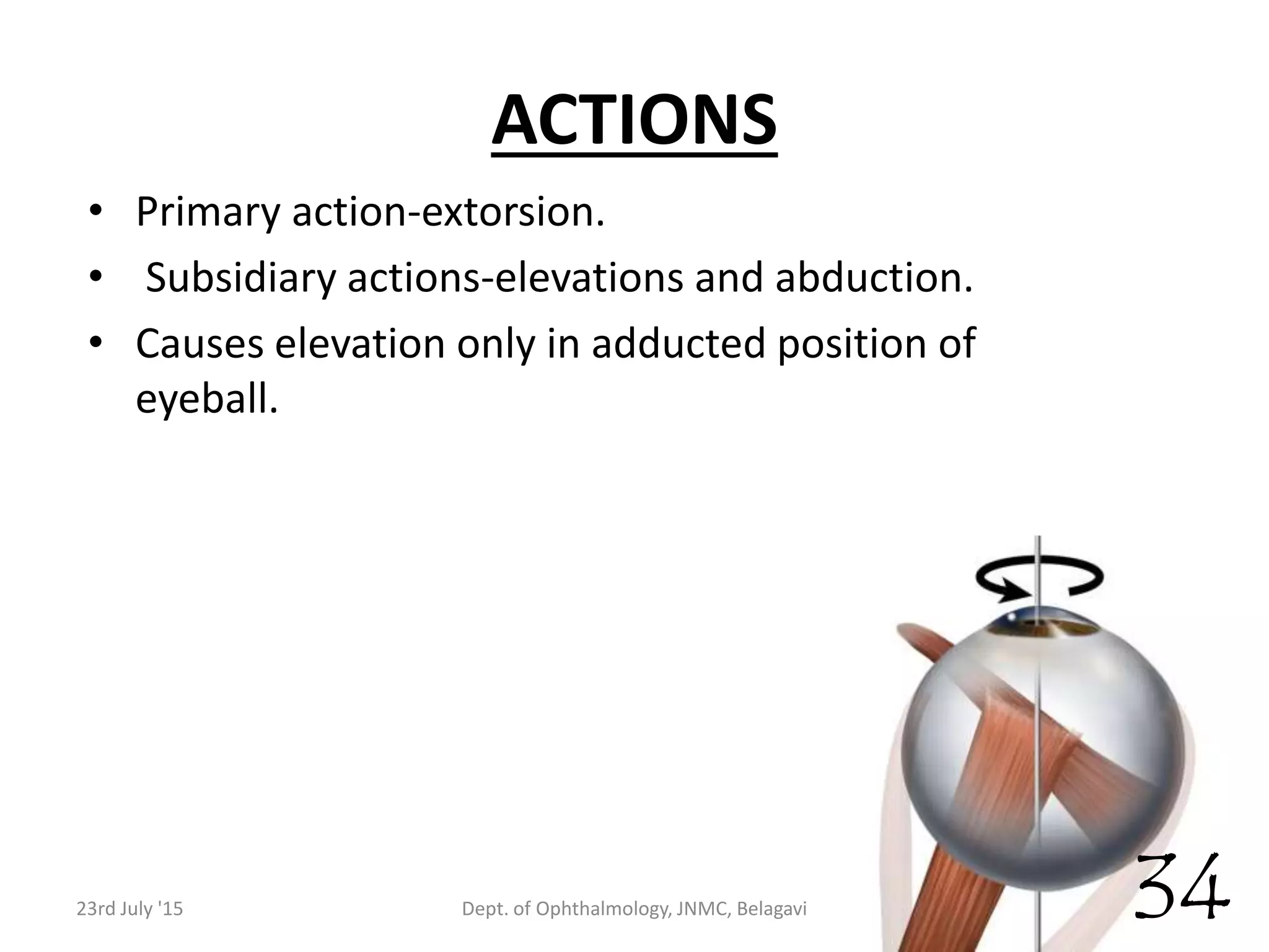 Anatomy & physiology of eom | PPTX