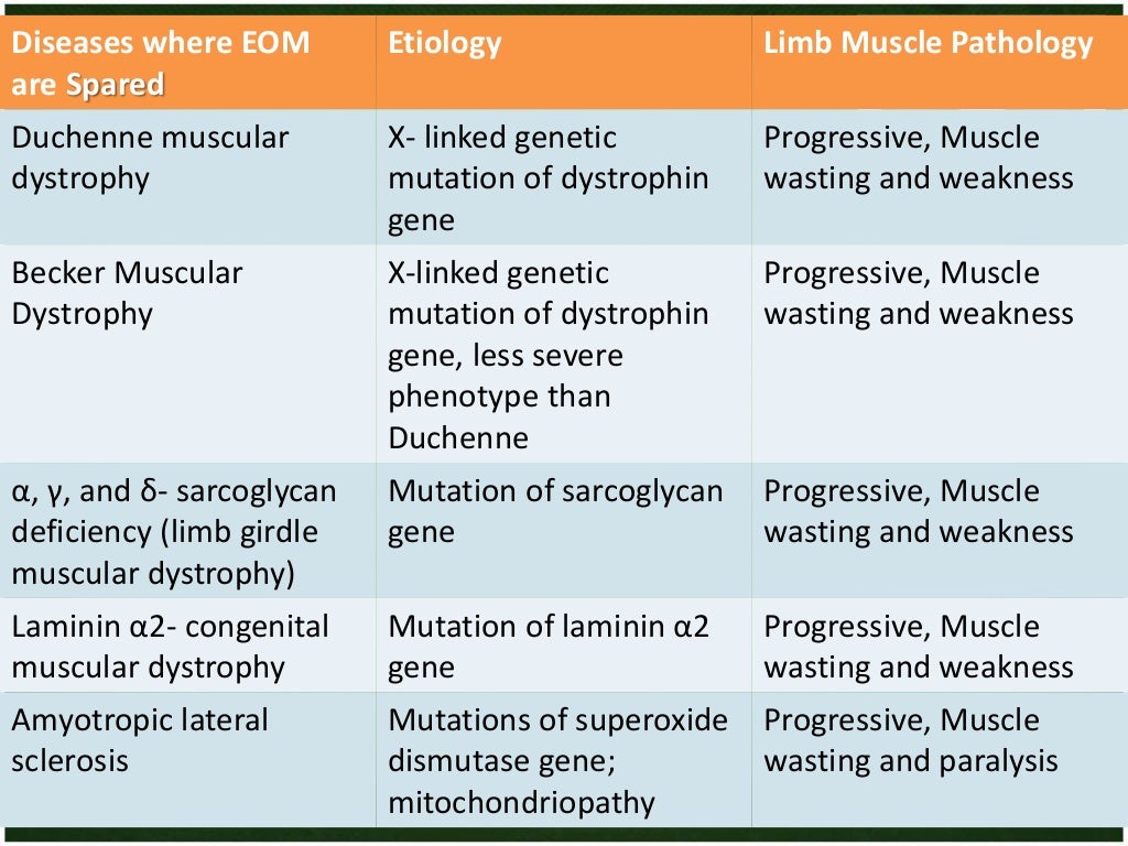 Anatomy & physiology of eom