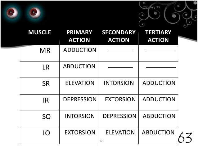 Anatomy & physiology of eom
