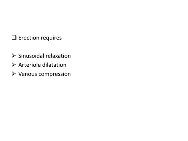 Anatomy of penis & physiology of erection | PPTX