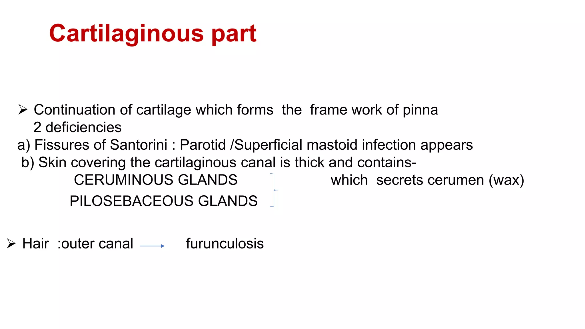 Anatomy & physiology of external ear | PPTX