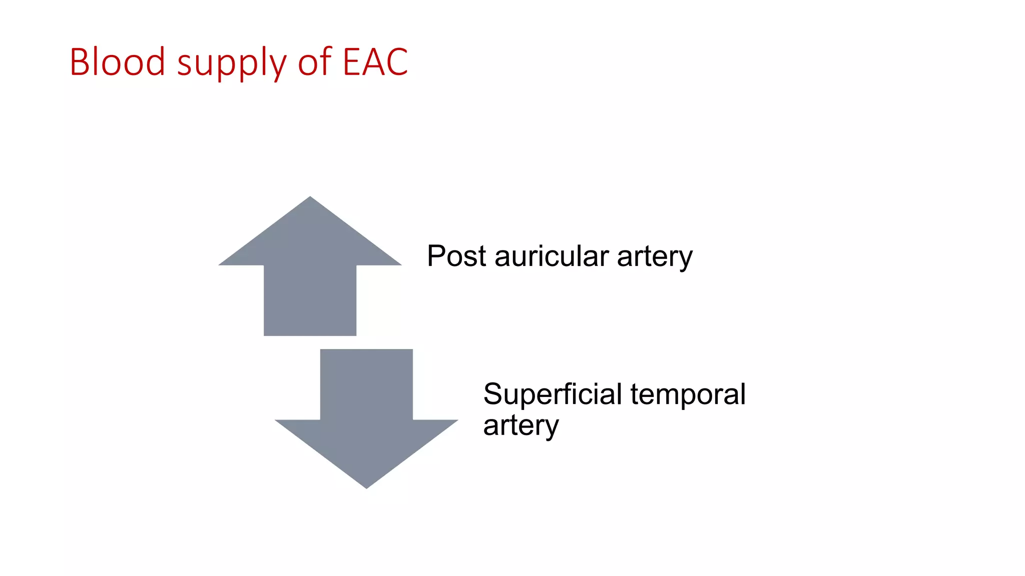 Anatomy & physiology of external ear | PPTX