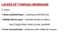 Anatomy & physiology of external ear | PPTX