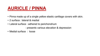Anatomy & physiology of external ear | PPTX