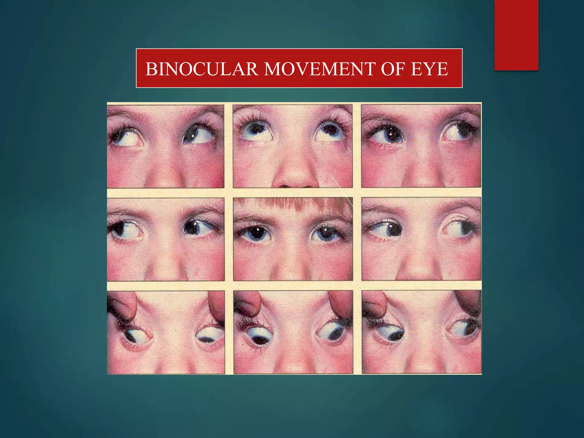 ocular movements.ppt