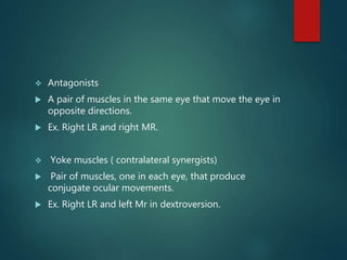 ocular movements.ppt