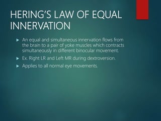 ocular movements.ppt