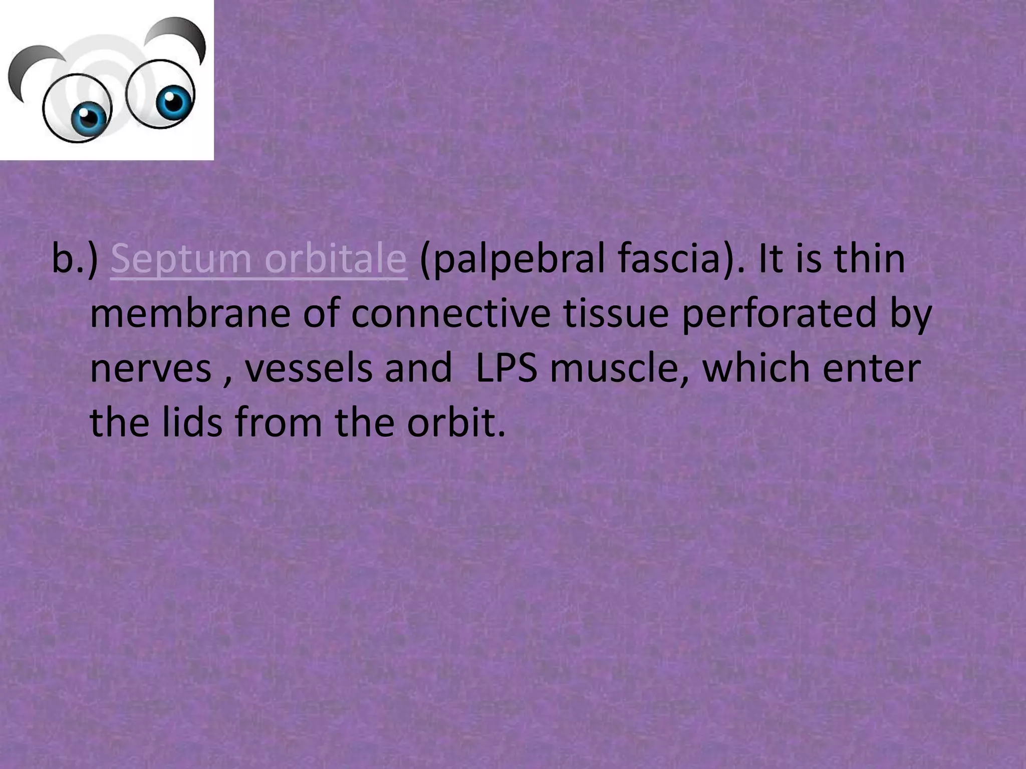 Anatomy & physiology of eyelids | PPTX