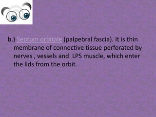 Anatomy & physiology of eyelids | PPTX