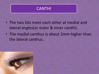 Anatomy & physiology of eyelids | PPTX