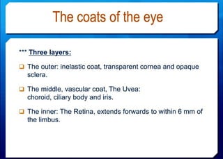Anatomy & physiology of eye RB sir .pdf