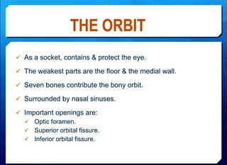 Anatomy & physiology of eye RB sir .pdf