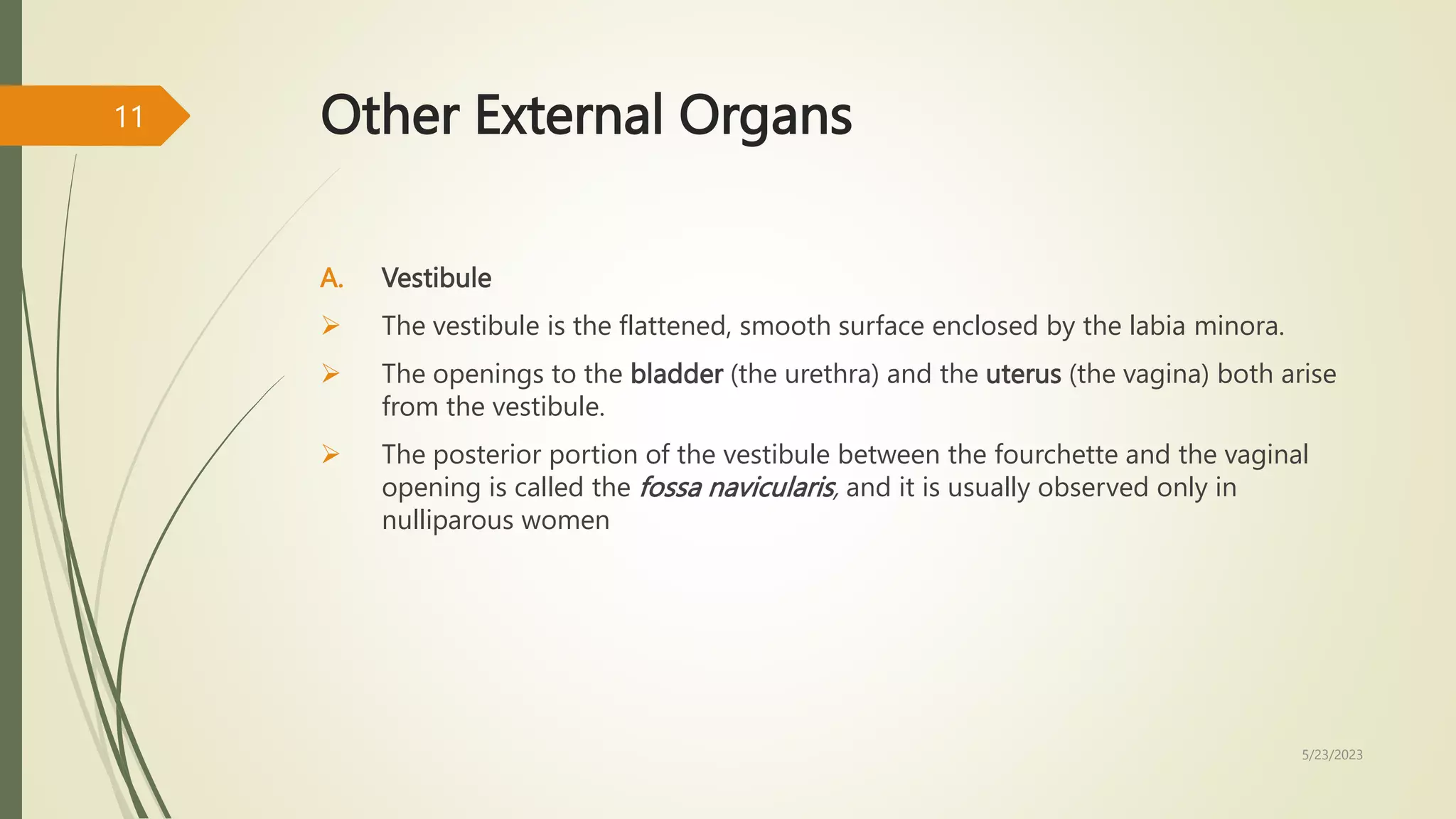 ANATOMY & PHYSIOLOGY OF FEMALE REPRODUCTIVE ORGANS.pptx