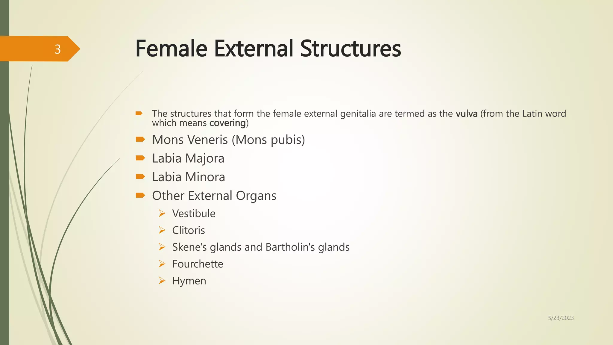 ANATOMY & PHYSIOLOGY OF FEMALE REPRODUCTIVE ORGANS.pptx
