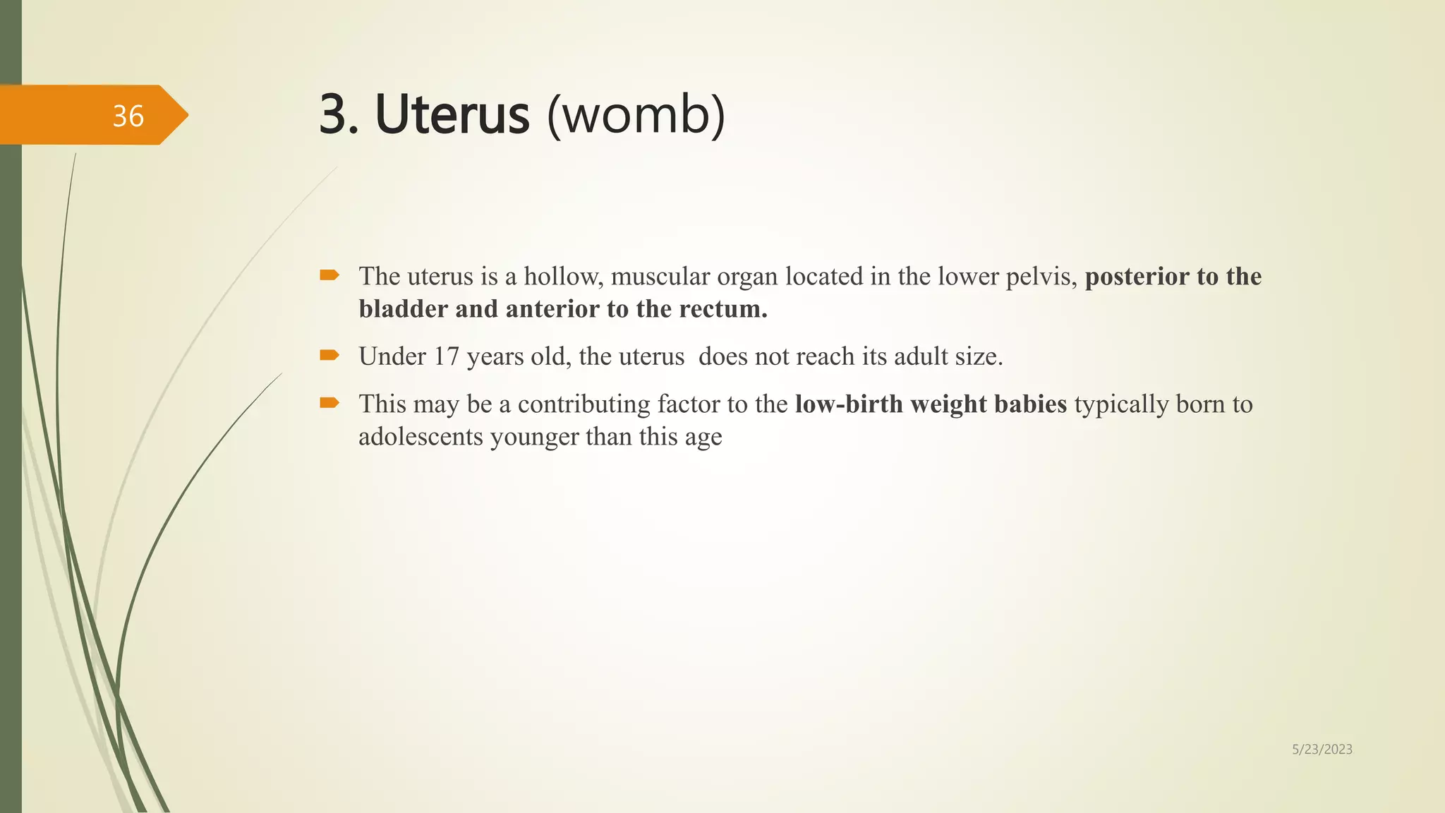 ANATOMY & PHYSIOLOGY OF FEMALE REPRODUCTIVE ORGANS.pptx