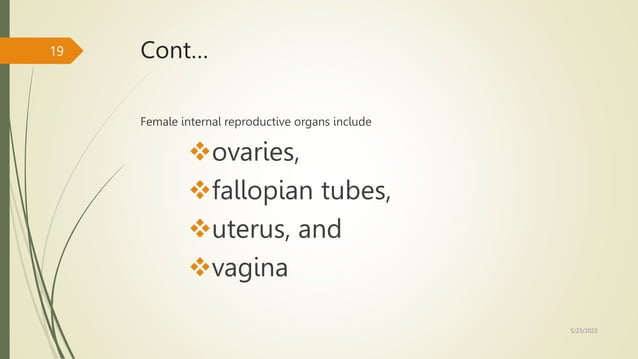 ANATOMY & PHYSIOLOGY OF FEMALE REPRODUCTIVE ORGANS.pptx