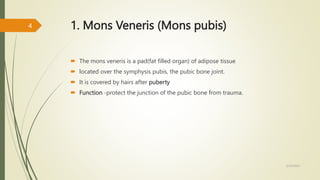 ANATOMY & PHYSIOLOGY OF FEMALE REPRODUCTIVE ORGANS.pptx