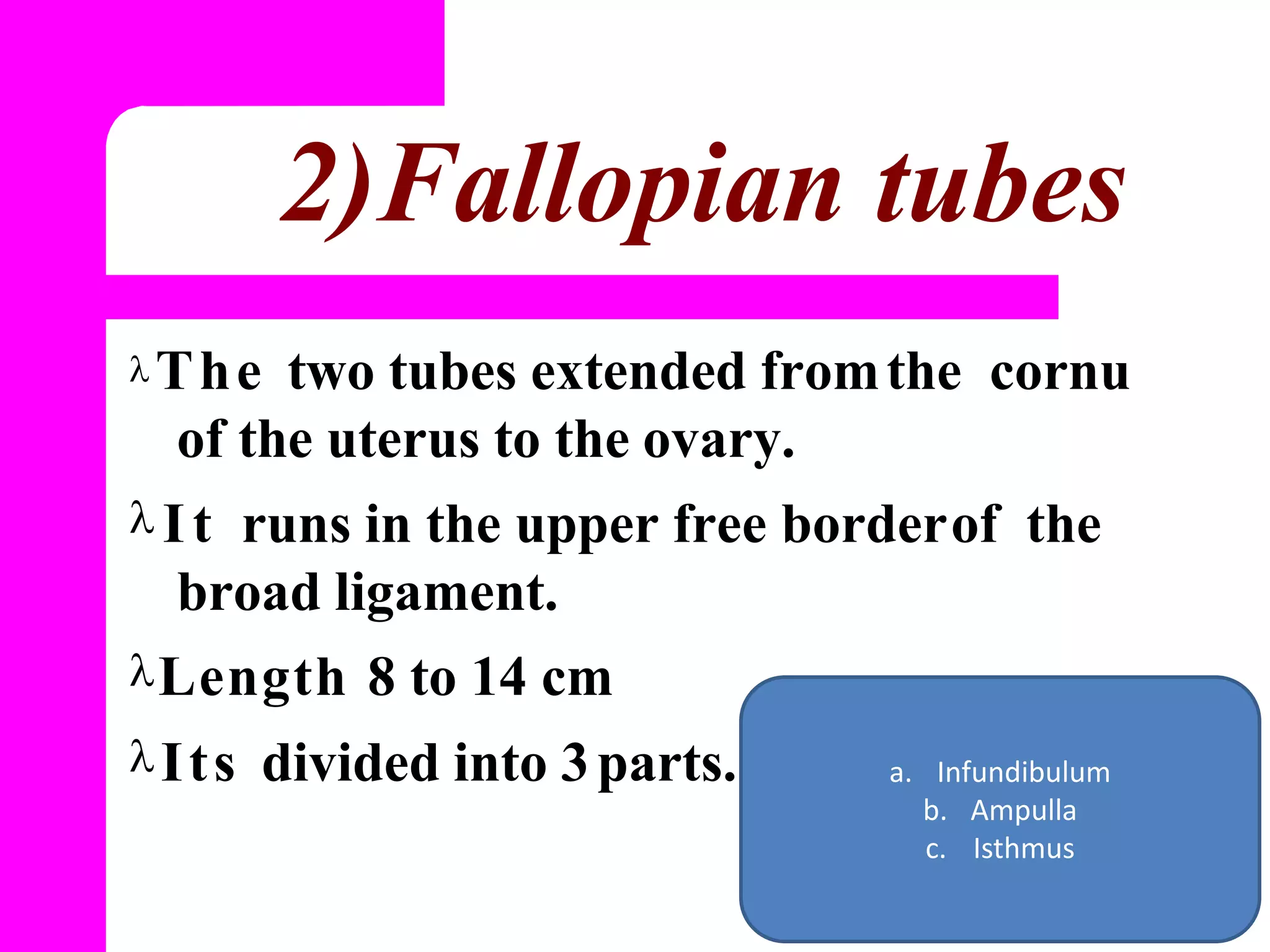 Anatomy & Physiology of Female Reproductive System 1 | PPTX
