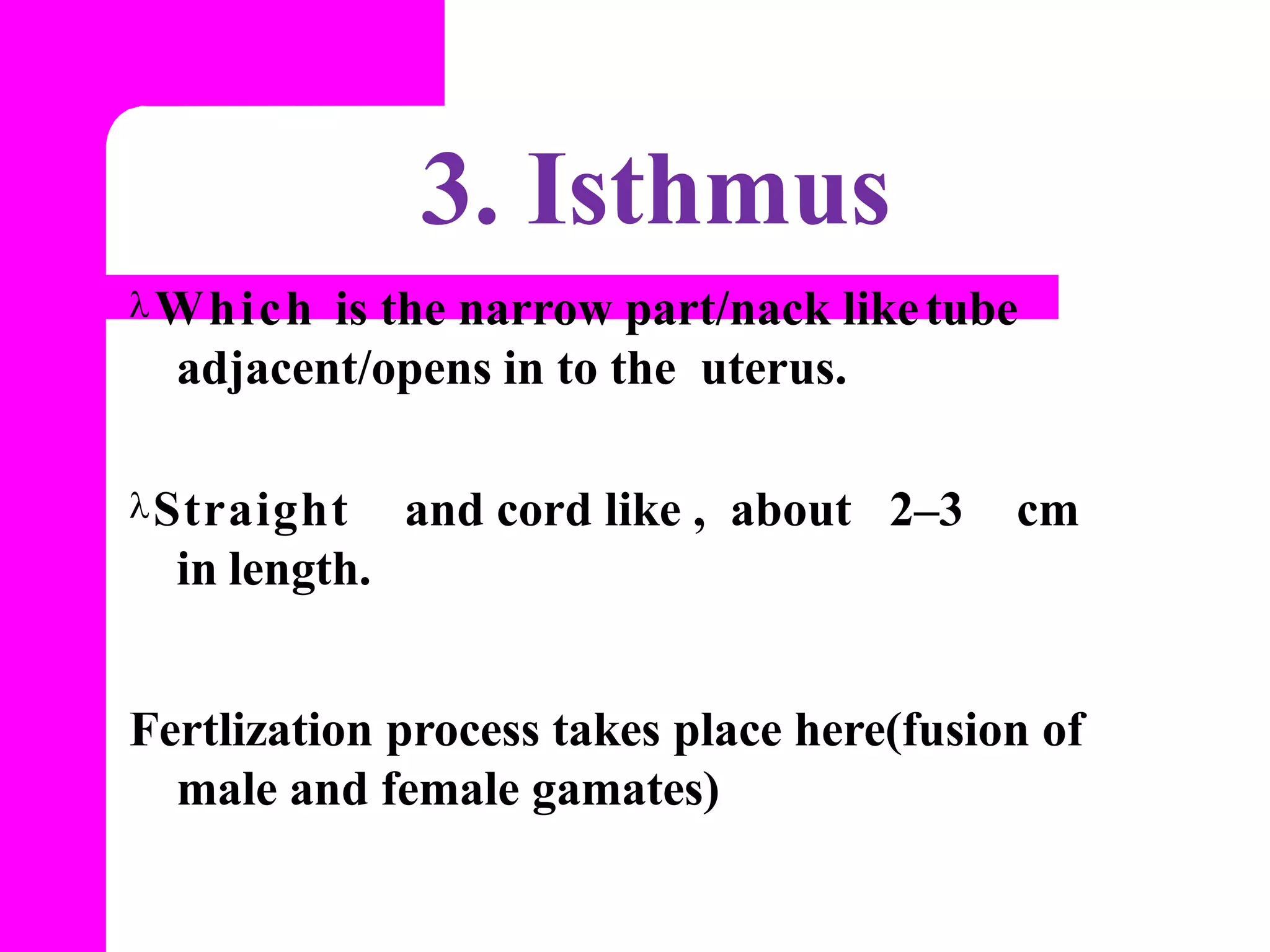 Anatomy & Physiology of Female Reproductive System 1 | PPTX