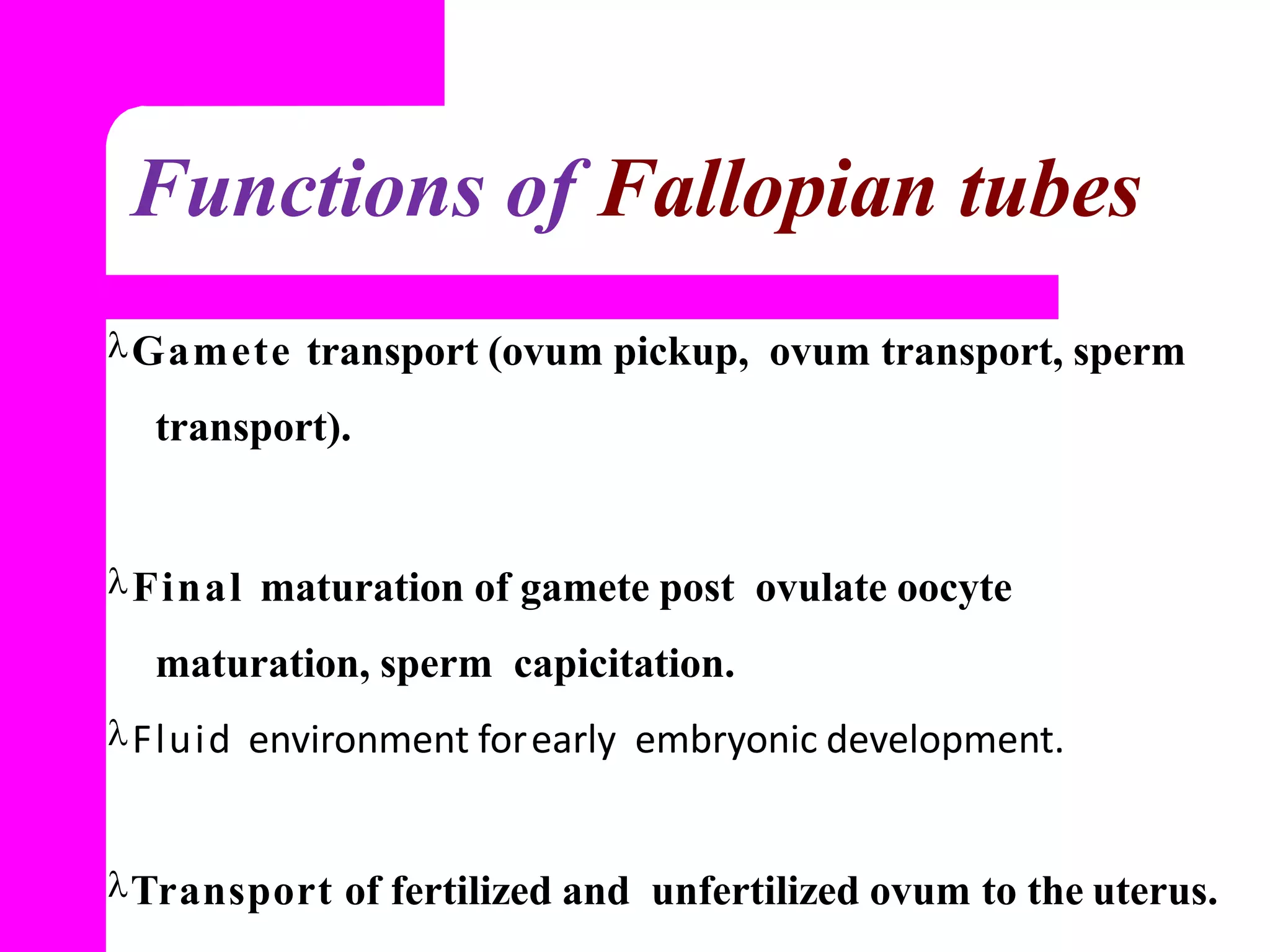 Anatomy & Physiology of Female Reproductive System 1 | PPTX