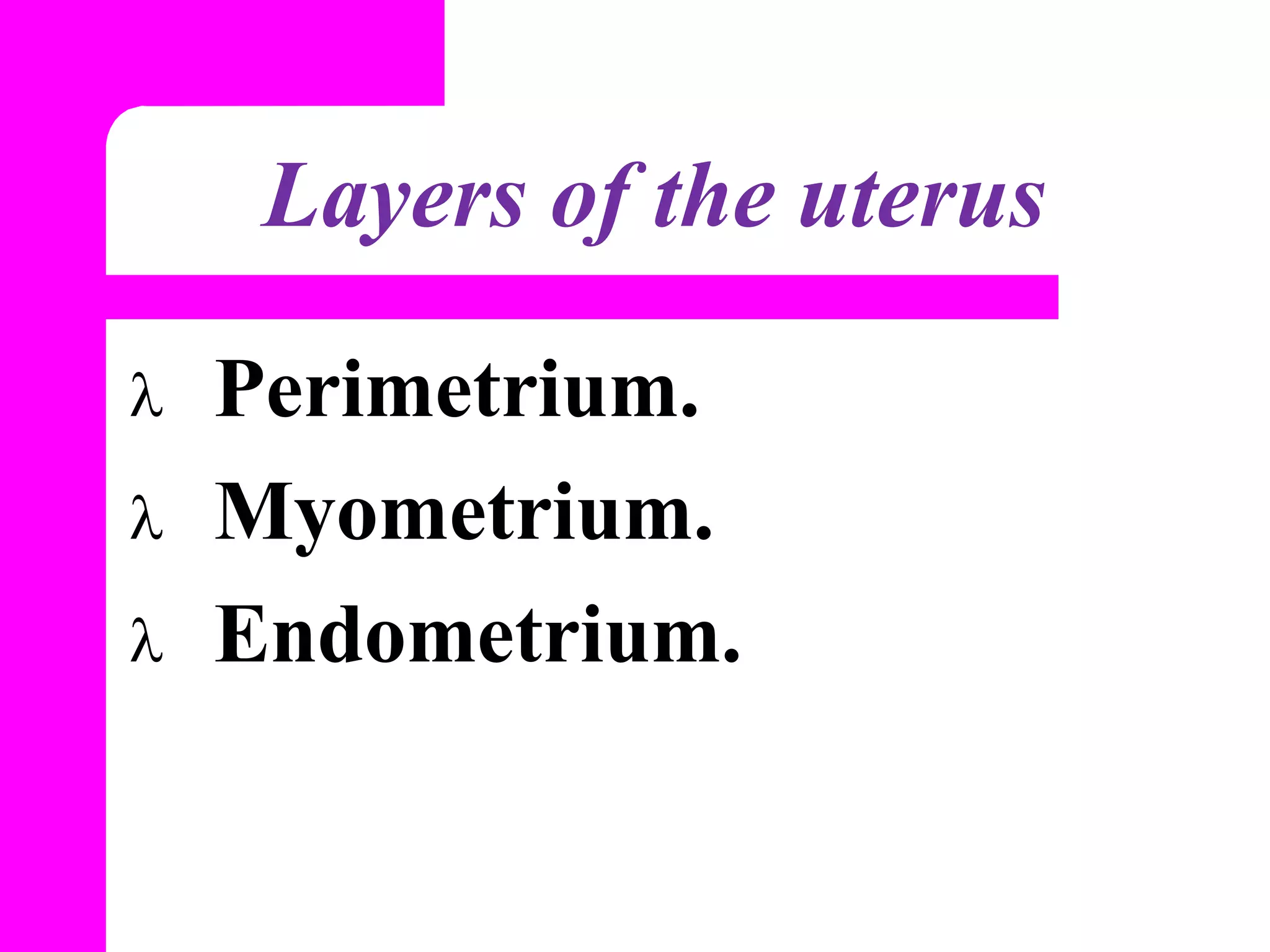 Anatomy & Physiology of Female Reproductive System 1 | PPTX
