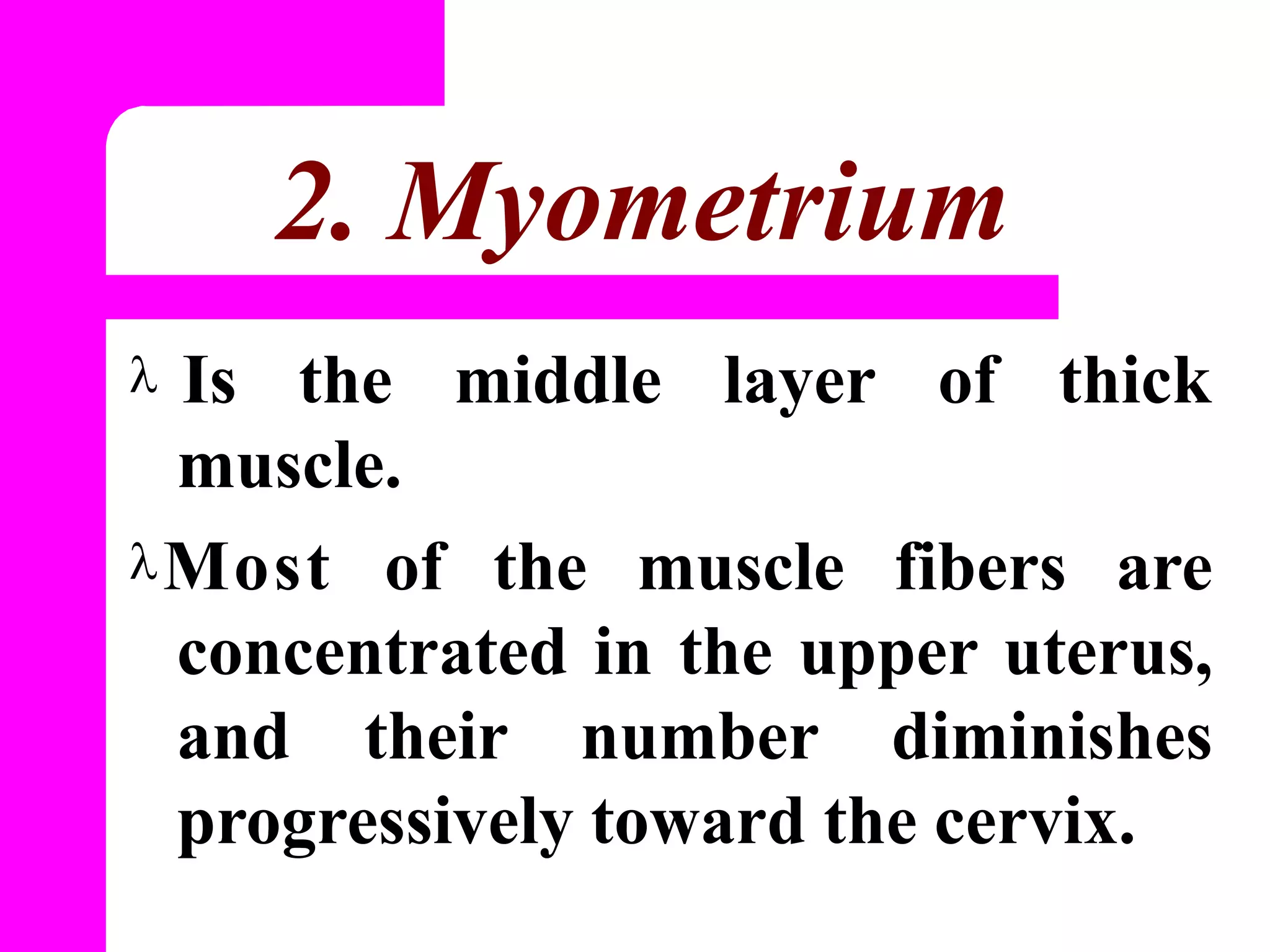 Anatomy & Physiology of Female Reproductive System 1 | PPTX