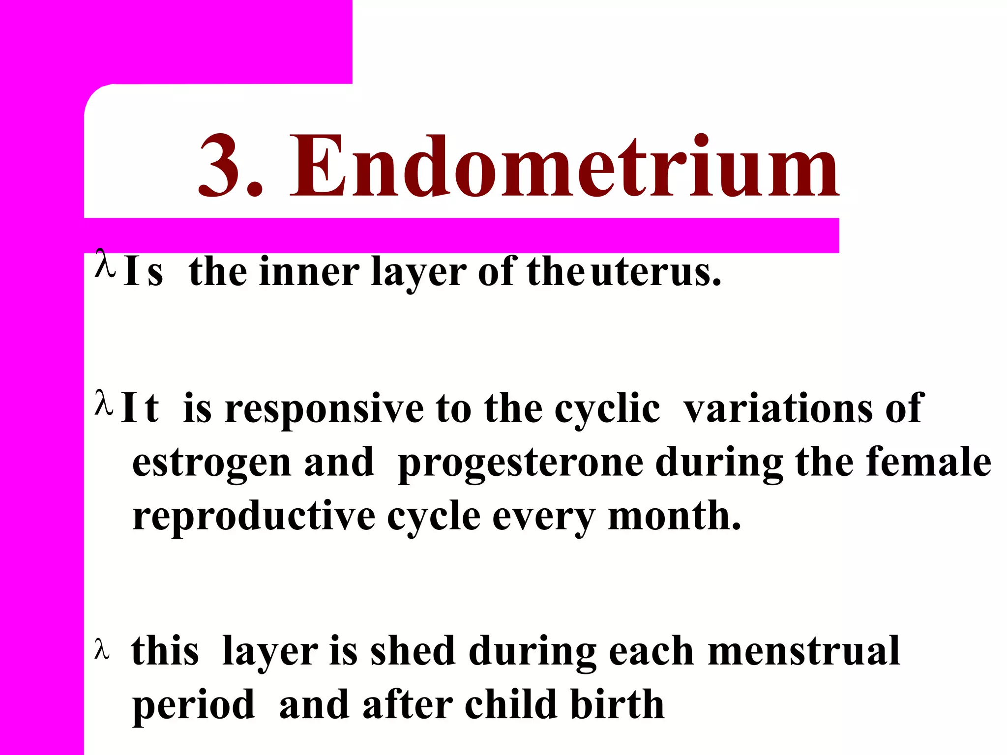Anatomy & Physiology of Female Reproductive System 1 | PPTX