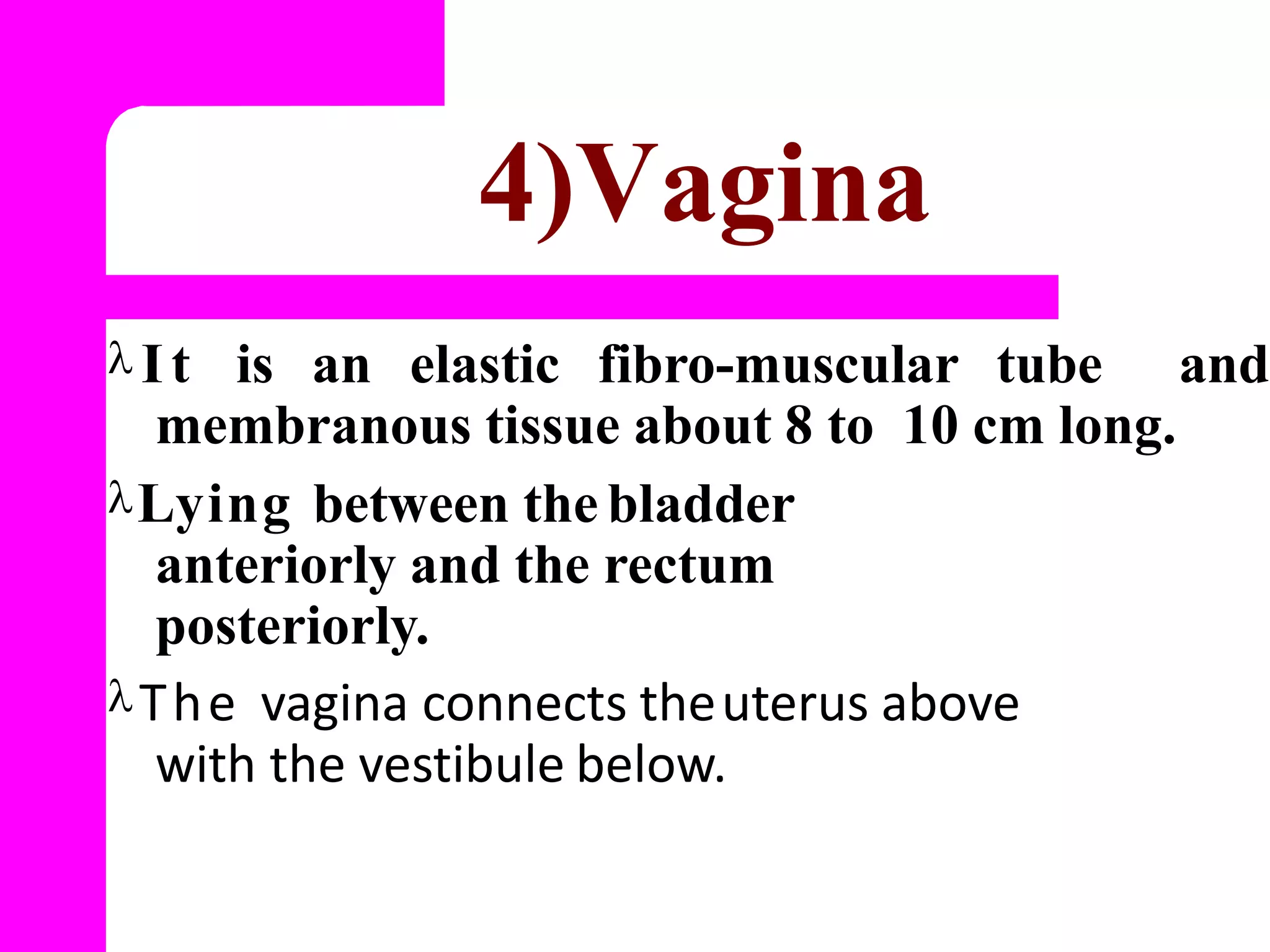 Anatomy & Physiology of Female Reproductive System 1 | PPTX