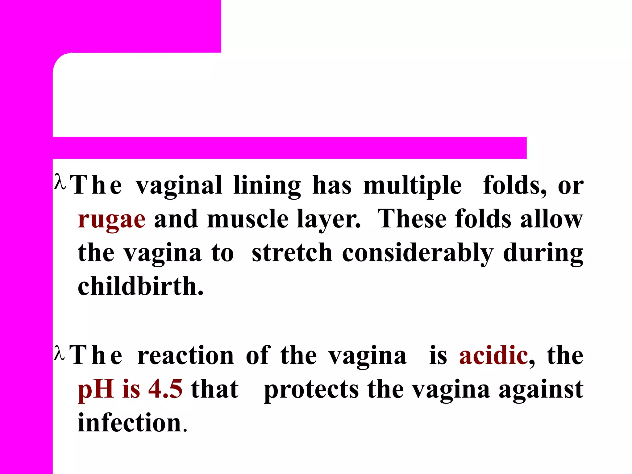 Anatomy & Physiology of Female Reproductive System 1 | PPTX