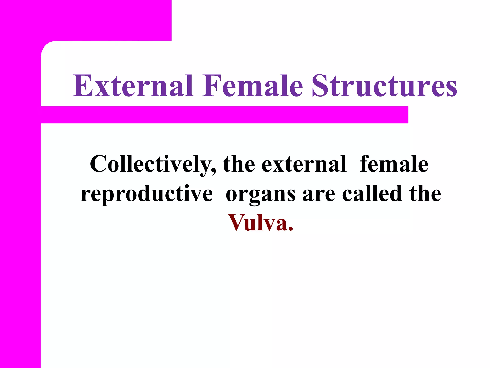 Anatomy & Physiology of Female Reproductive System 1 | PPTX