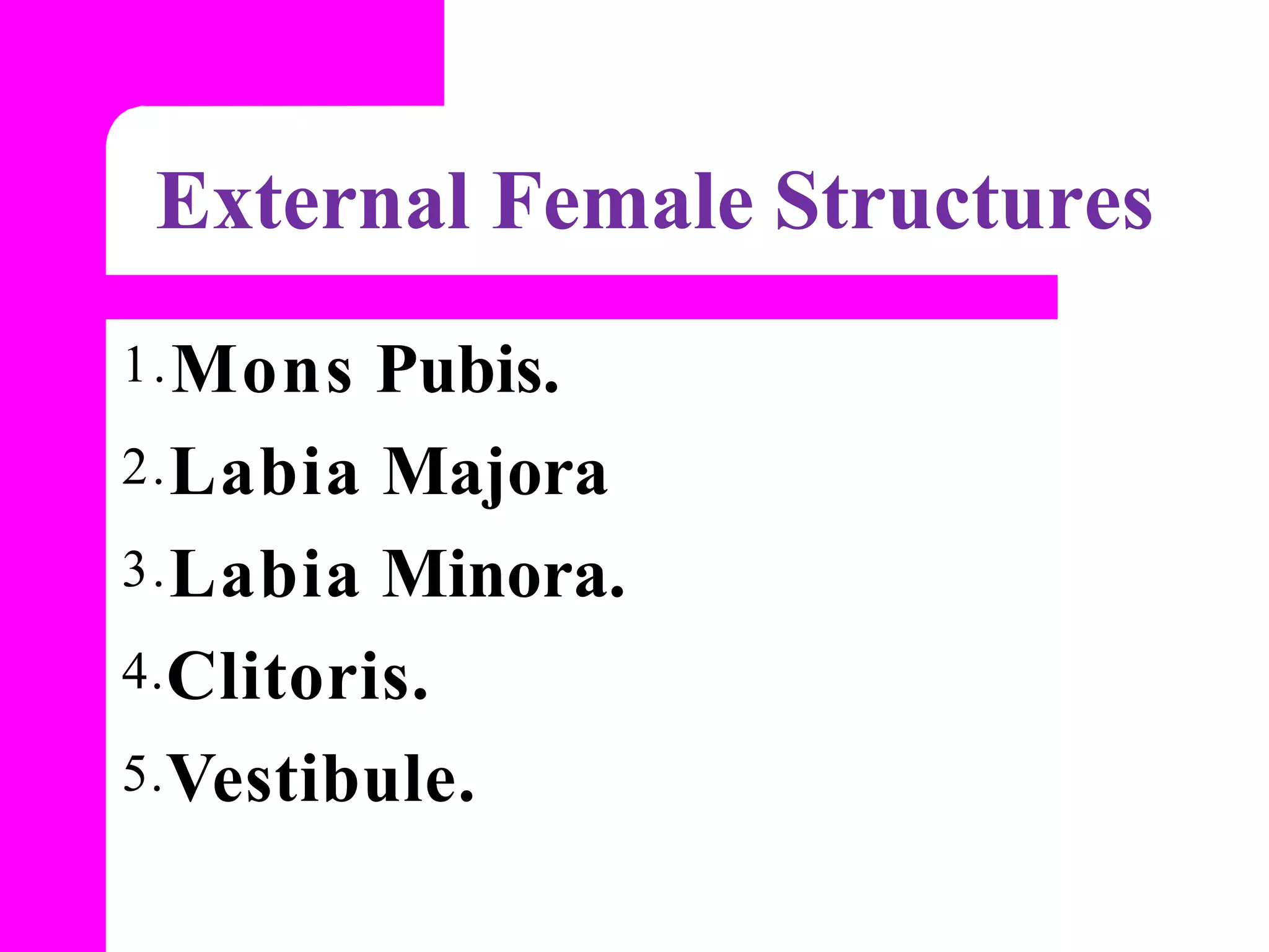 Anatomy & Physiology of Female Reproductive System 1 | PPTX