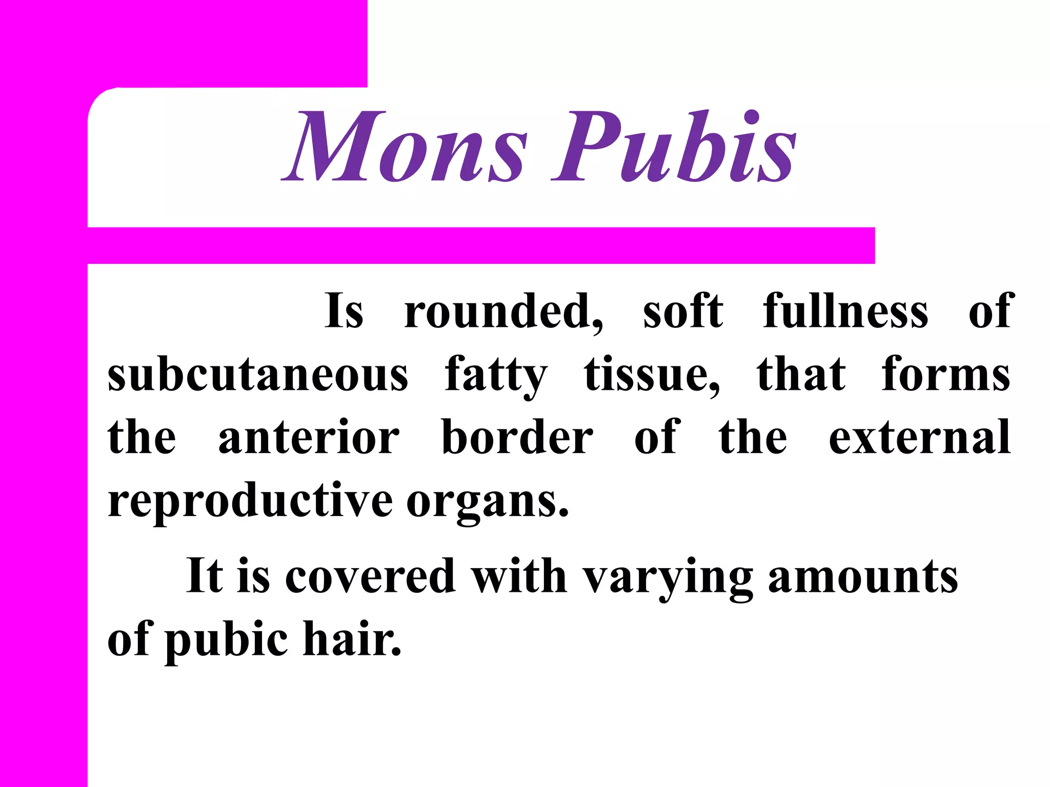 Anatomy & Physiology of Female Reproductive System 1 | PPTX