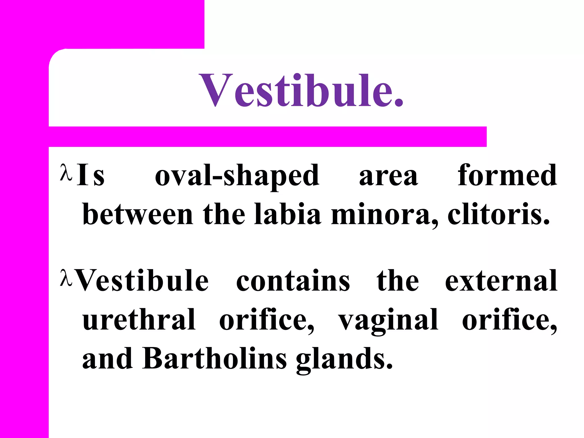 Anatomy & Physiology of Female Reproductive System 1 | PPTX