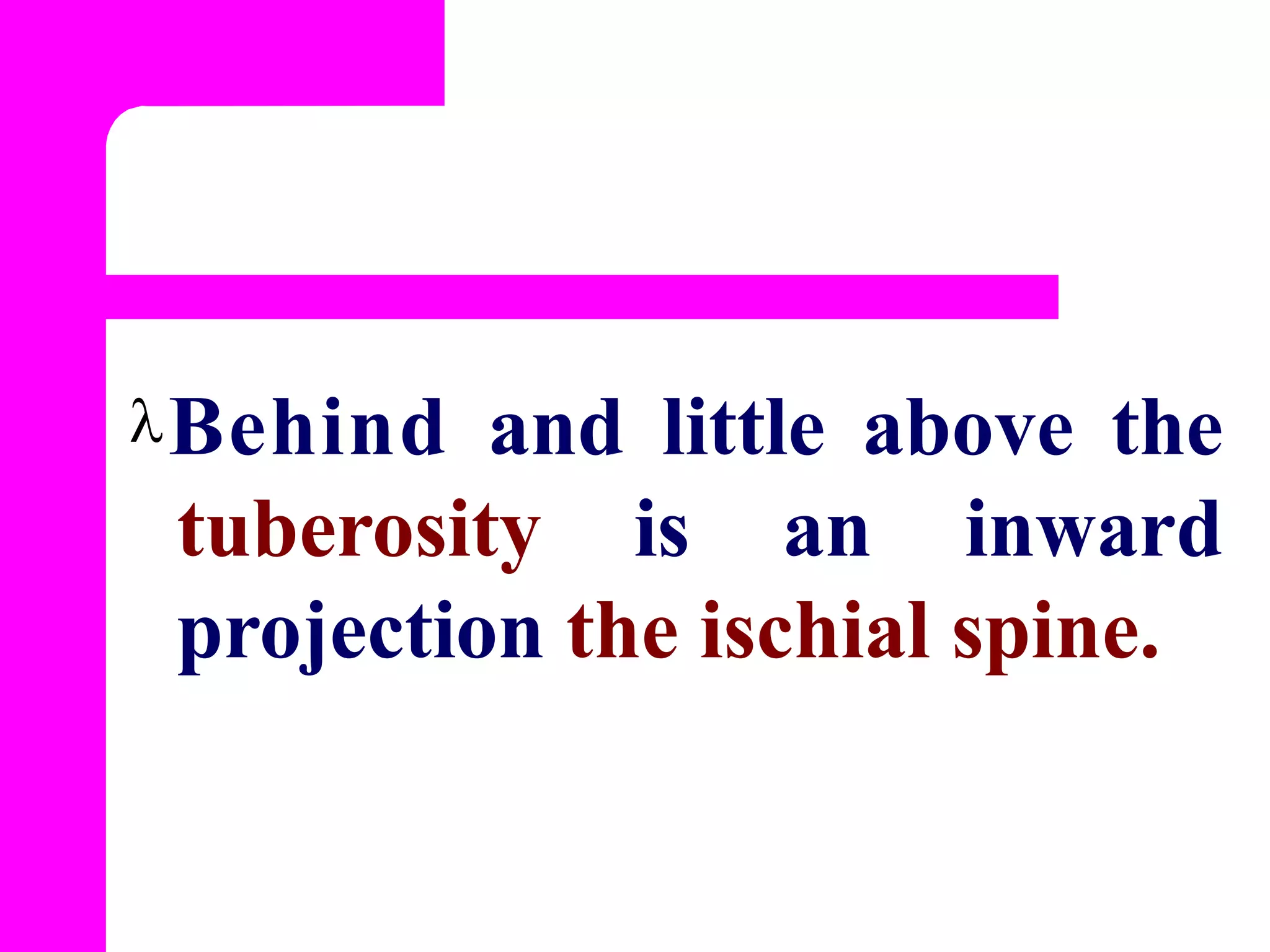 Anatomy & Physiology of Female Reproductive System 1 | PPTX