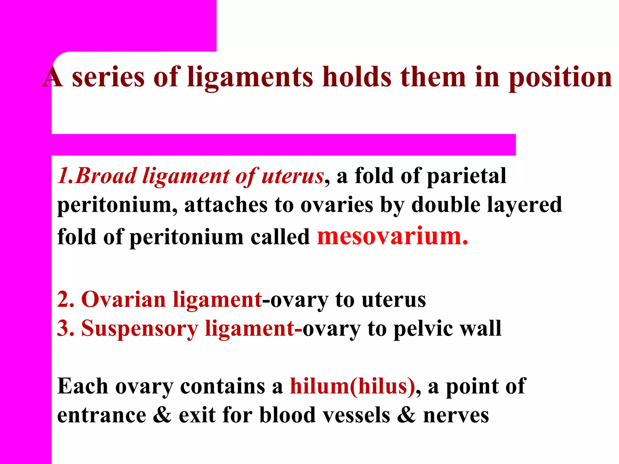 Anatomy & Physiology of Female Reproductive System 1 | PPTX