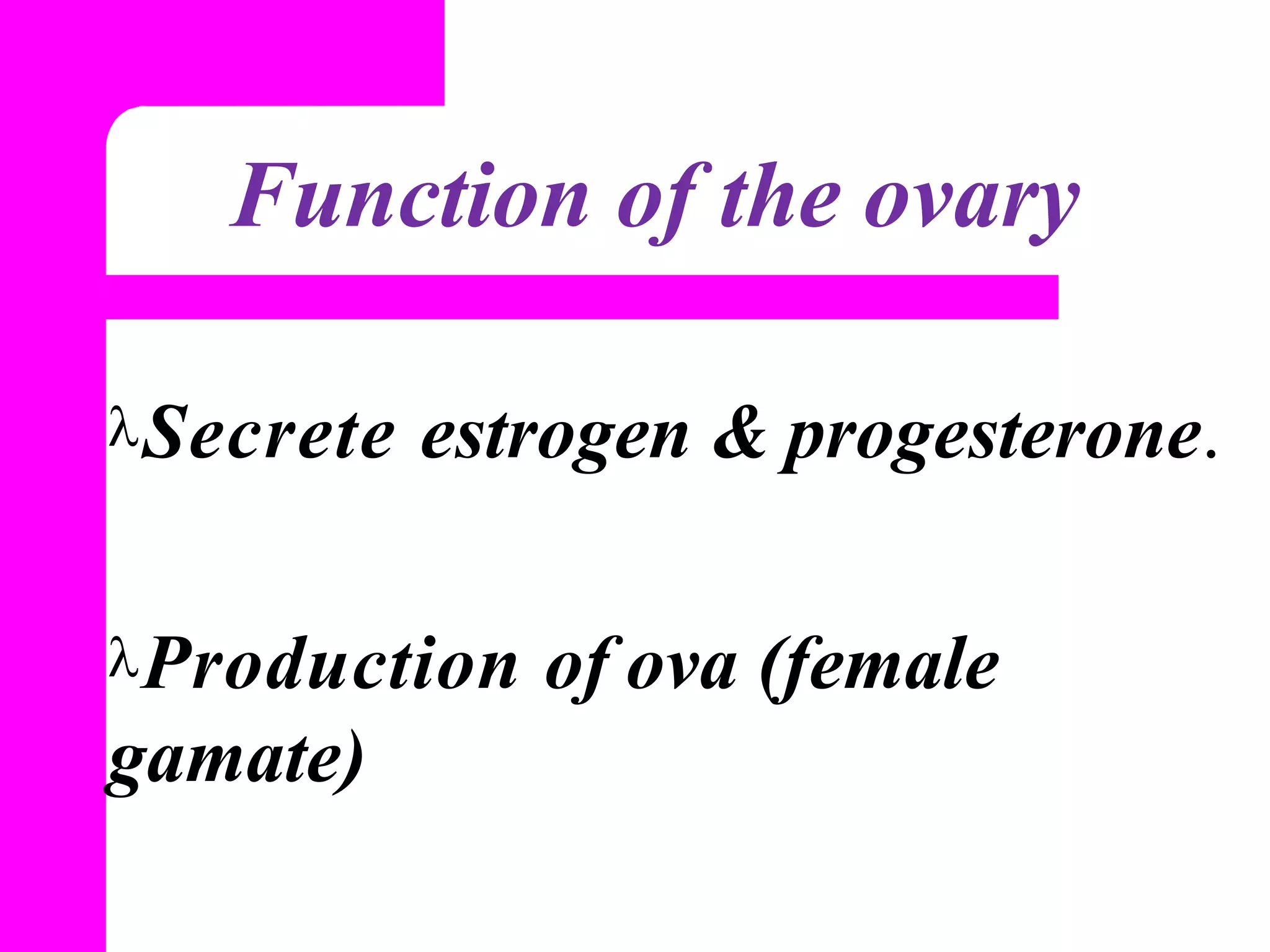 Anatomy & Physiology of Female Reproductive System 1 | PPTX