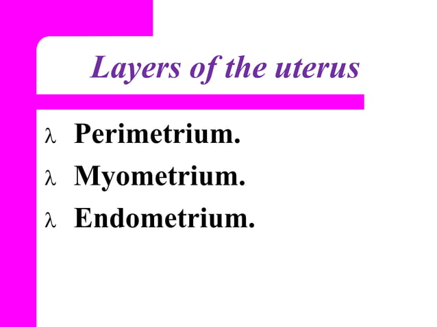 Anatomy & Physiology of Female Reproductive System 1 | PPTX | Pregnancy ...