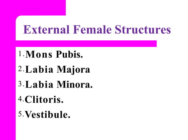 Anatomy & Physiology of Female Reproductive System 1 | PPTX | Pregnancy ...