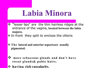 Anatomy & Physiology of Female Reproductive System 1 | PPTX