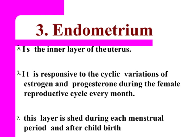 Isthmus Female Reproductive System Chart