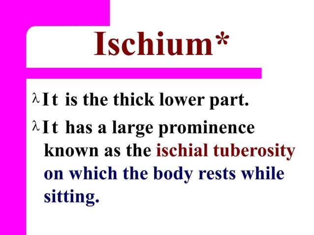 Isthmus Female Reproductive System Chart