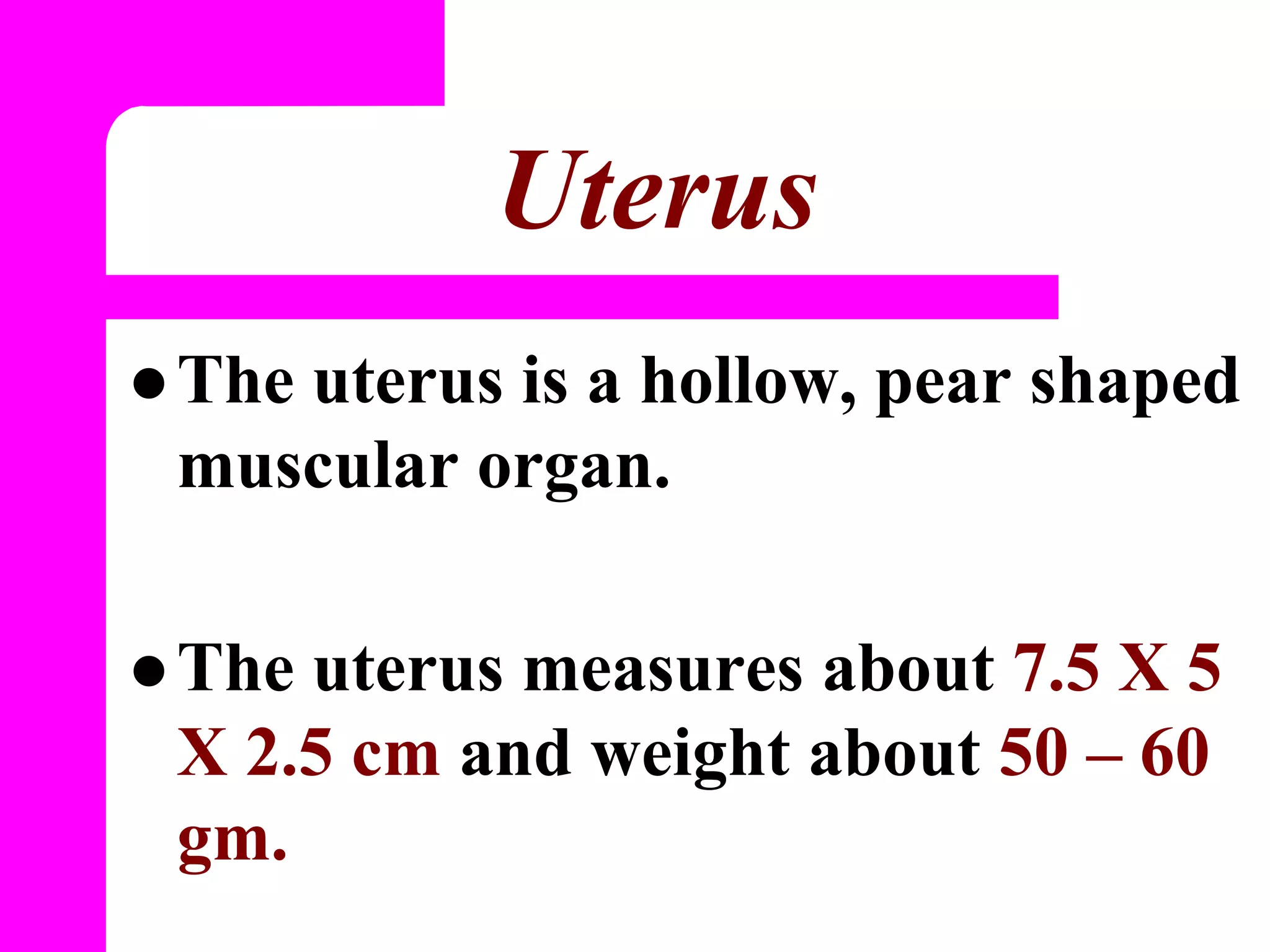 anatomyphysiologyoffemalereproductivesystem-130506124715-phpapp02.ppt