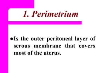 anatomyphysiologyoffemalereproductivesystem-130506124715-phpapp02.ppt