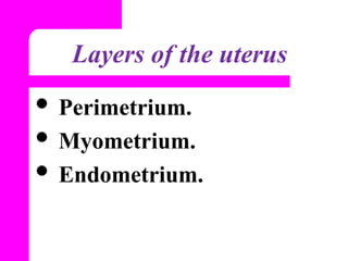 anatomyphysiologyoffemalereproductivesystem-130506124715-phpapp02.ppt