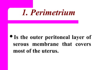 anatomyphysiologyoffemalereproductivesystem-130506124715-phpapp02.ppt