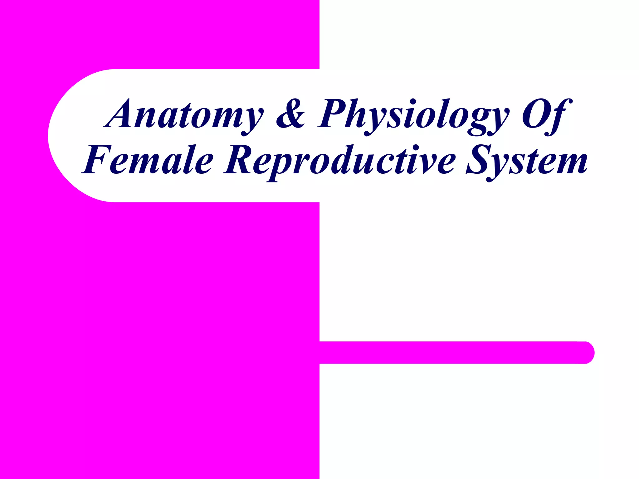 Anatomy physiology of female reproductive system | PPT