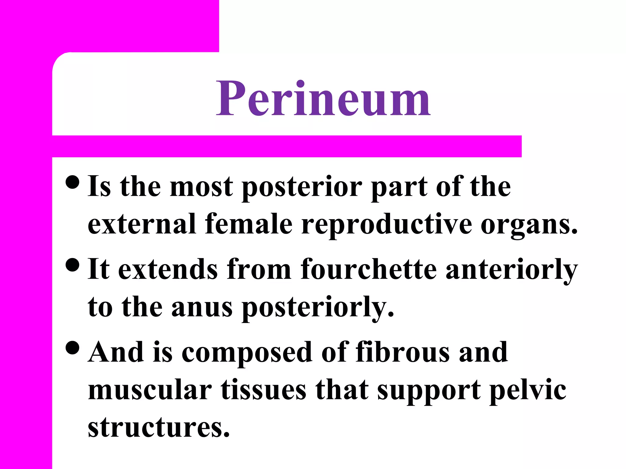 Anatomy physiology of female reproductive system | PPT