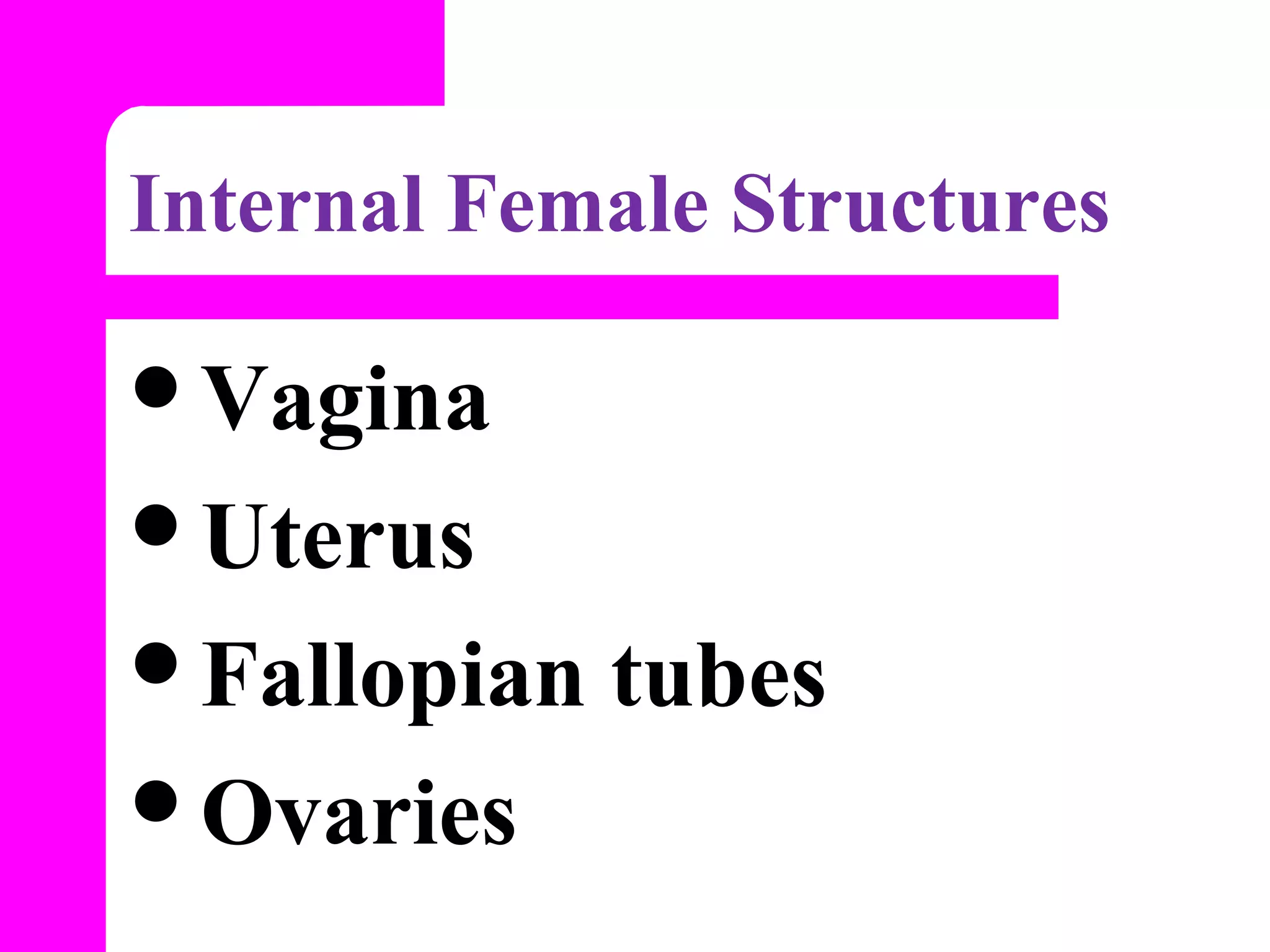 Anatomy physiology of female reproductive system | PPT