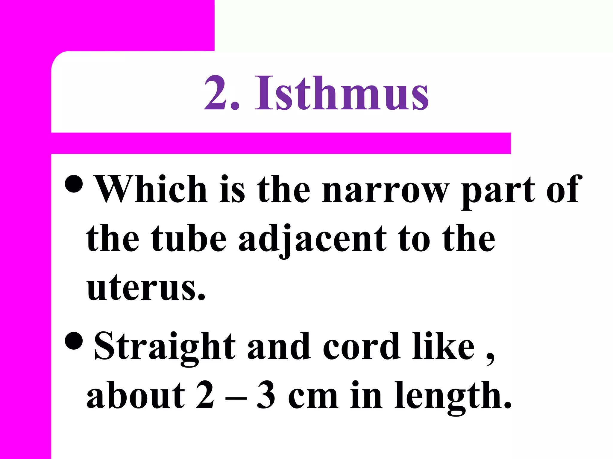 Anatomy physiology of female reproductive system | PPT