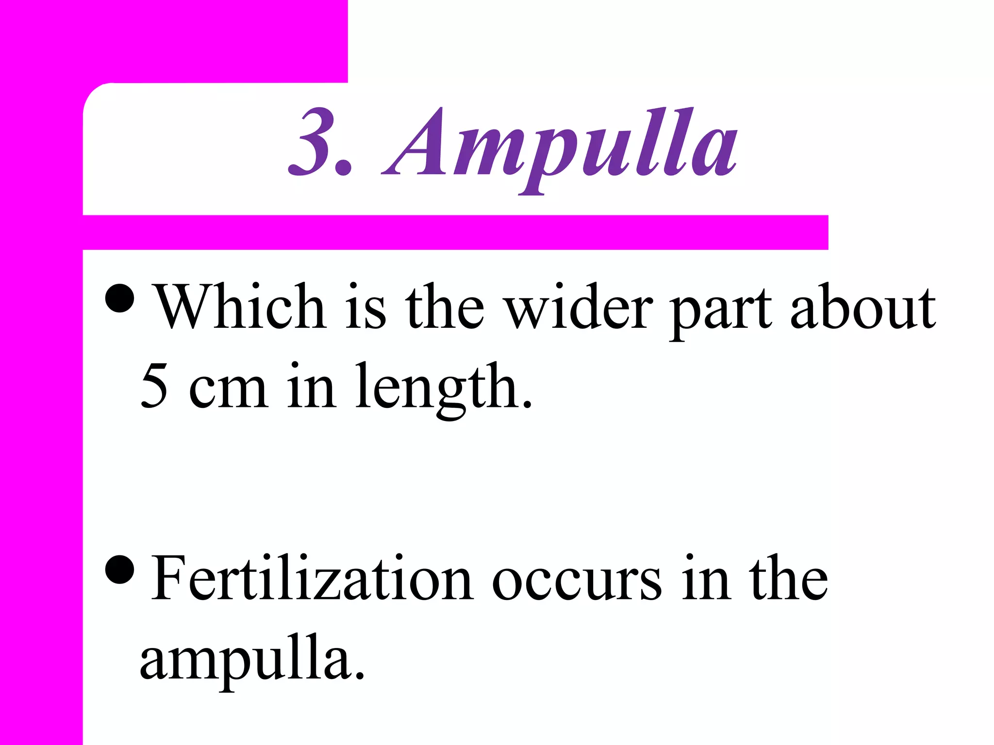 Anatomy physiology of female reproductive system | PPT